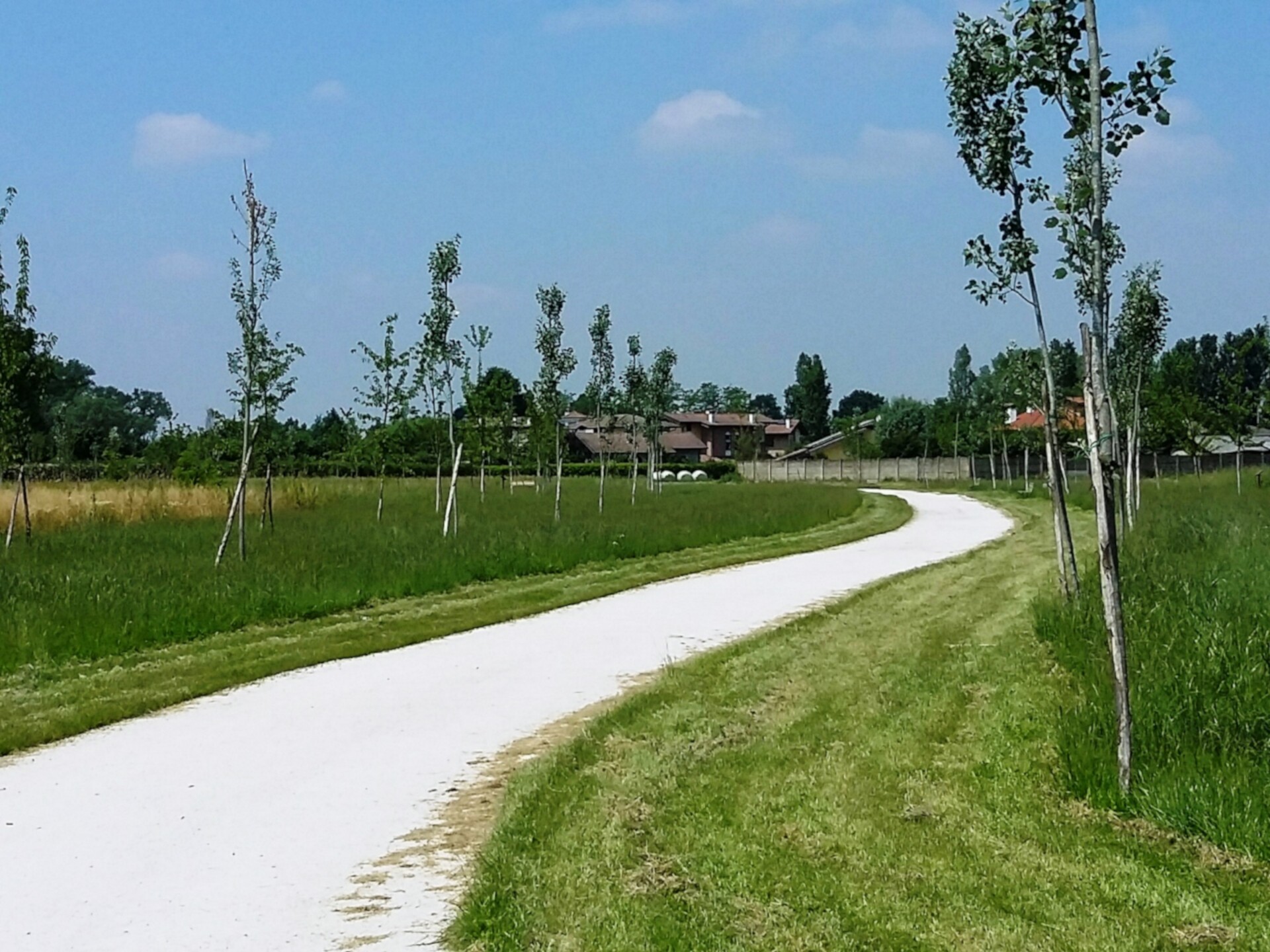 Parco Cittadino Parco / Giardino / Area all'aperto